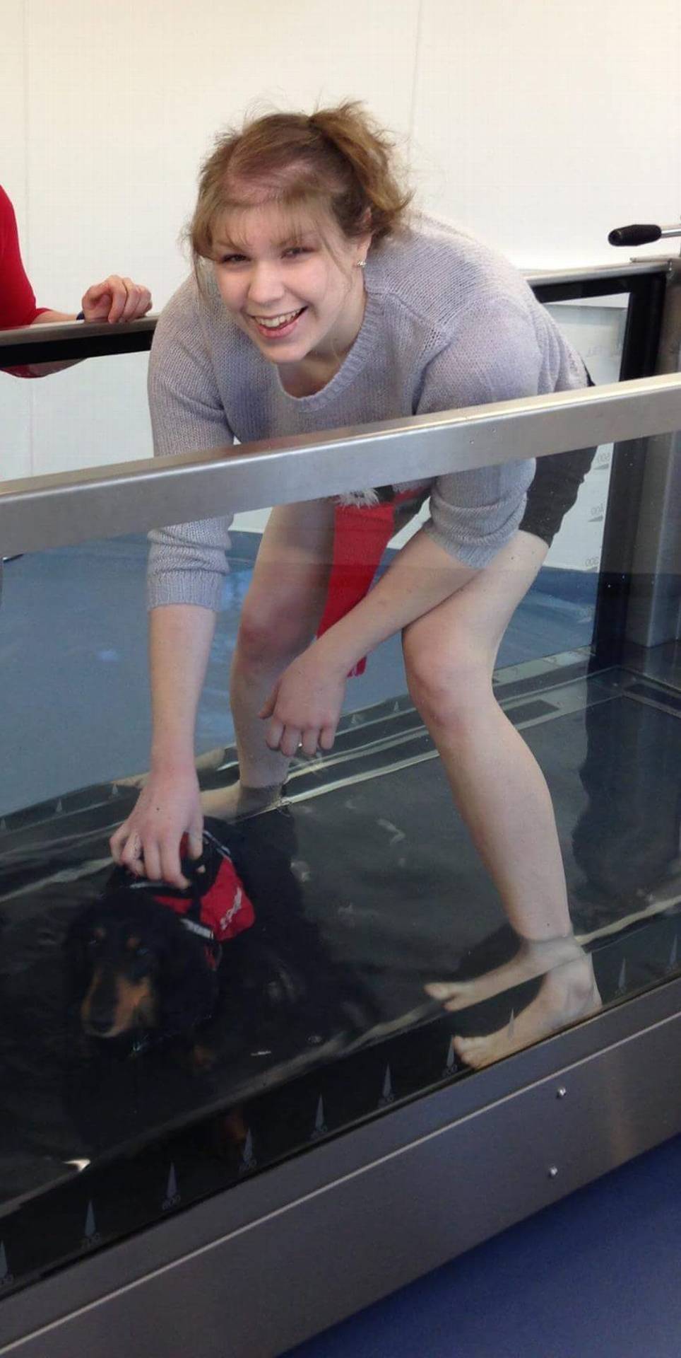 Meet the Vet Physio team: Carly Atkinson | Harper Adams University ...