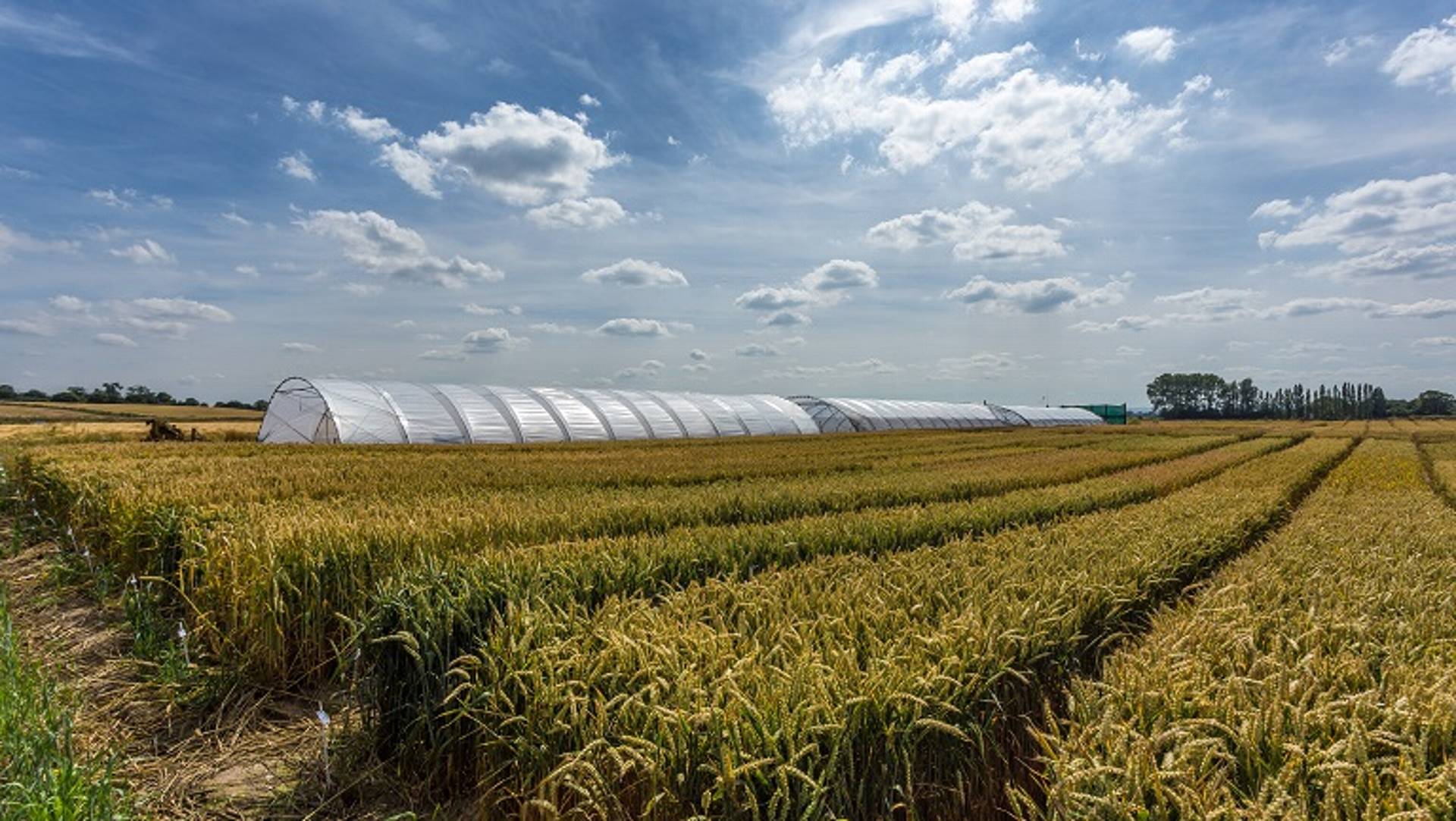 Non-farm background? No problem. You don’t have to come from a farm to ...