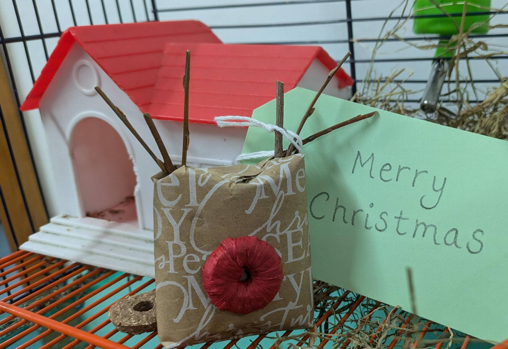 Happy Christmas from the Animal Behaviour & Welfare Research Group ...