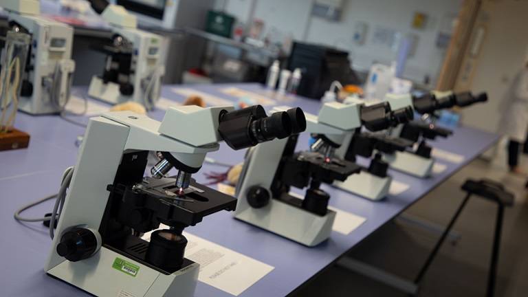 University's Commitment to Technicians secures Impact Award | Harper ...
