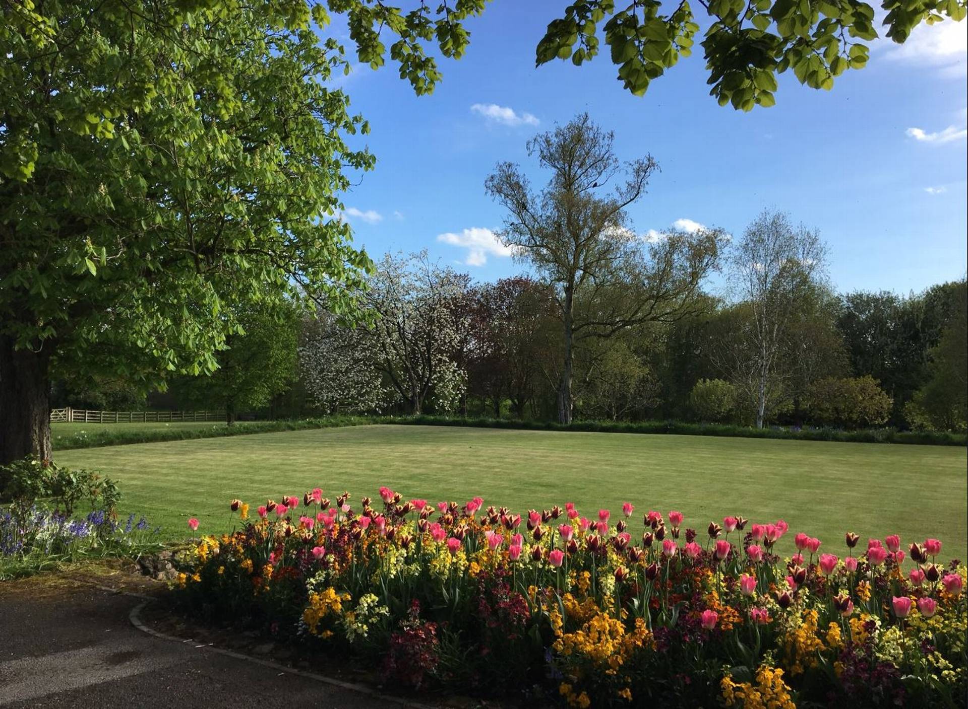 Spring views at Harper: photo by lecturer Terry Pickthall | Harper ...