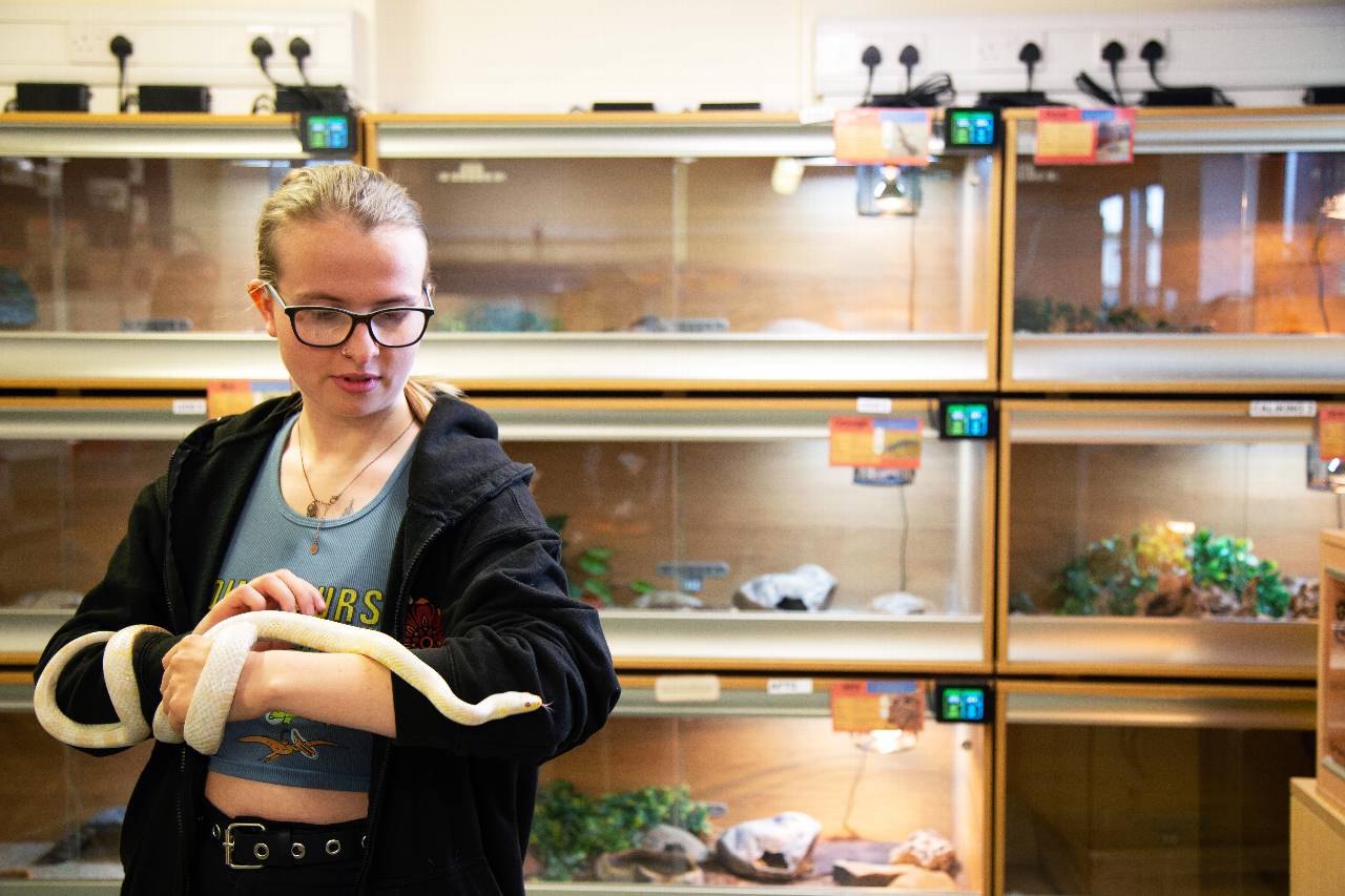 Video: Students discuss reptile care needs for National Reptile ...