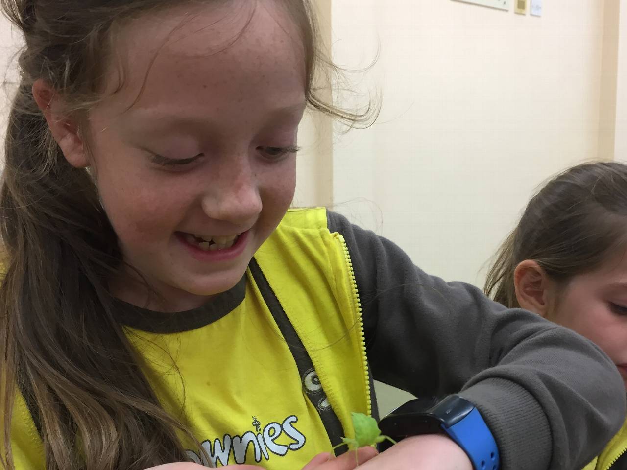 Harper Adams entomology professor visits local Brownie unit | Harper ...