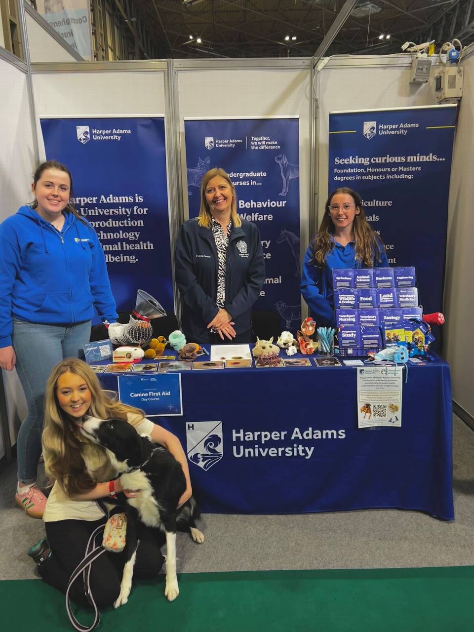 Student's TikToks set to offer unique insight into the world of canine ...