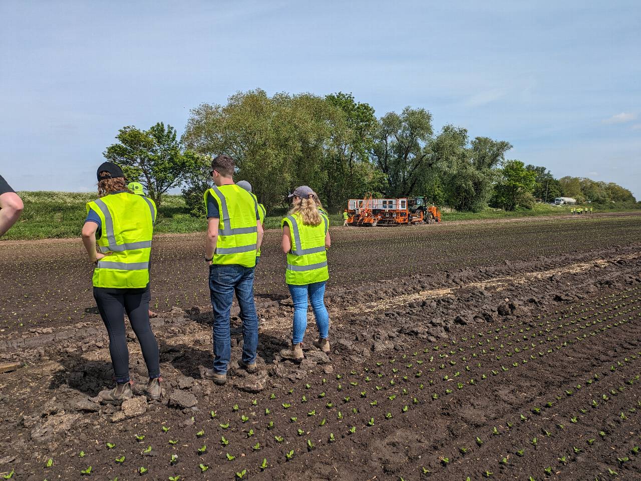 Crops Study Tour - real farming in action and alumni support | Harper ...