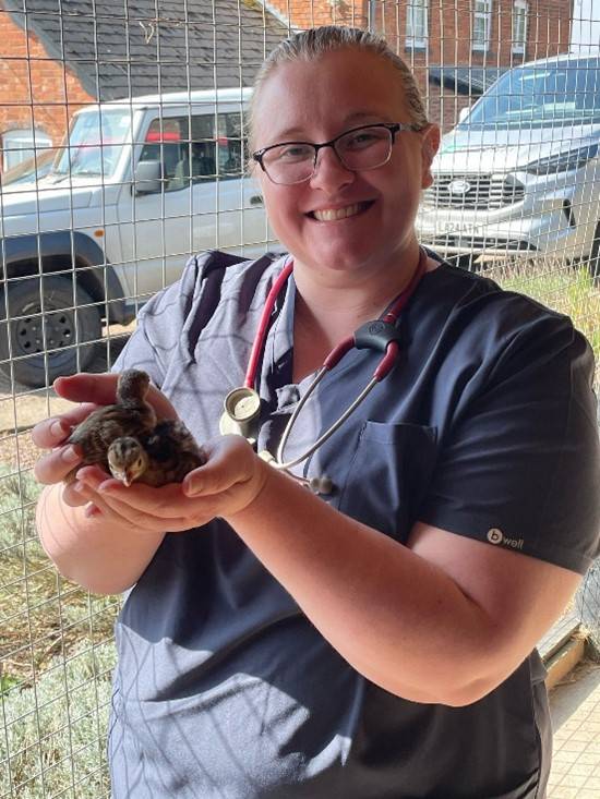 Veterinary Nursing Awareness Month - meet our staff: Amelia | Harper ...