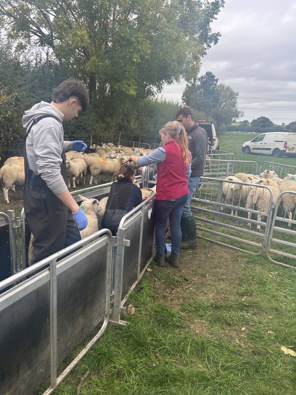 Outstanding in their field: the value of on-farm learning! | Harper ...